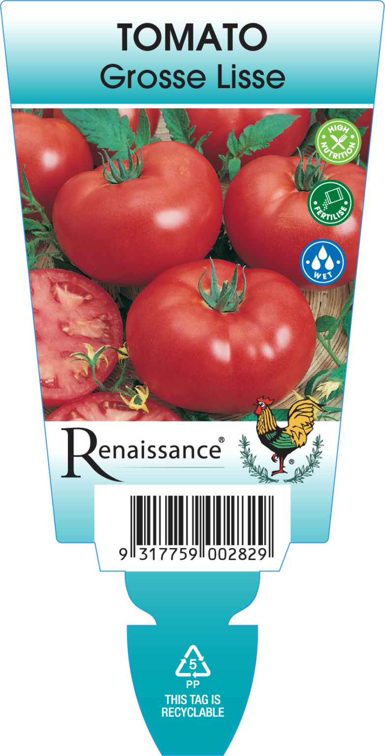 Tomato ‘Grosse Lisse’ – Renaissance Herbs