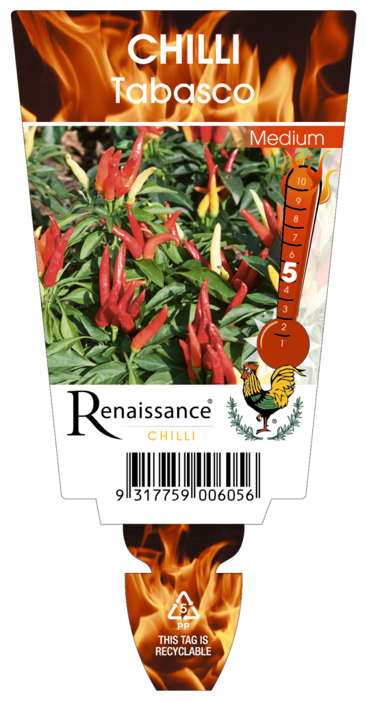 Chilli Tabasco – Renaissance Herbs