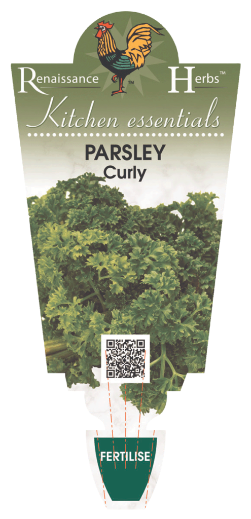 Parsley Curly – Renaissance Herbs