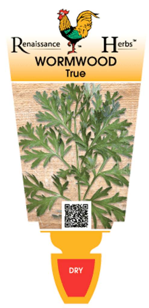 Wormwood True – Renaissance Herbs