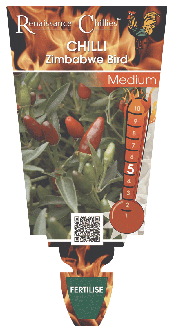 Chilli Zimbabwe Bird – Renaissance Herbs