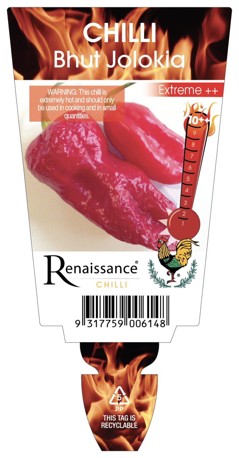 Chilli ‘Bhut Jolokia’ – Renaissance Herbs