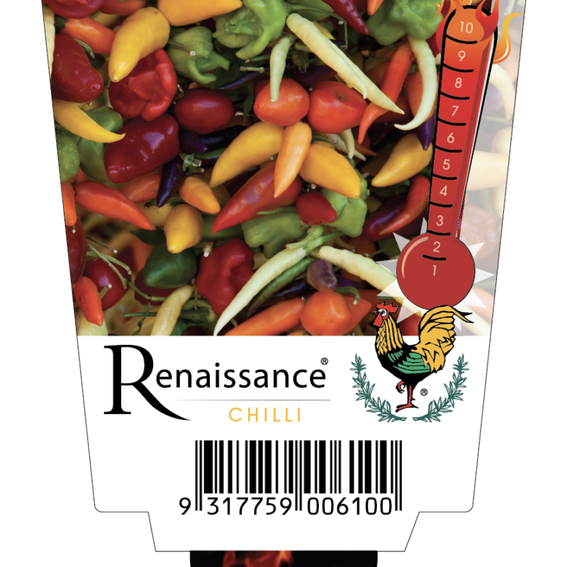 Chilli – Renaissance Herbs