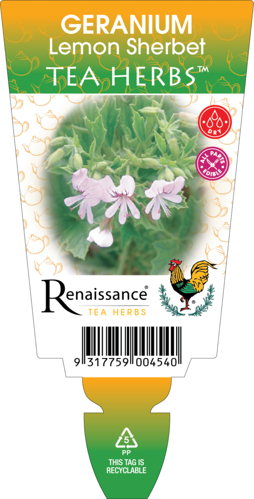 Geranium Lemon Sherbet – Renaissance Herbs