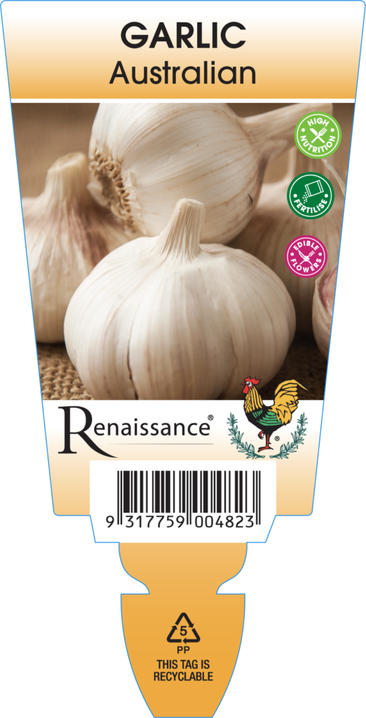 Garlic Australian – Renaissance Herbs