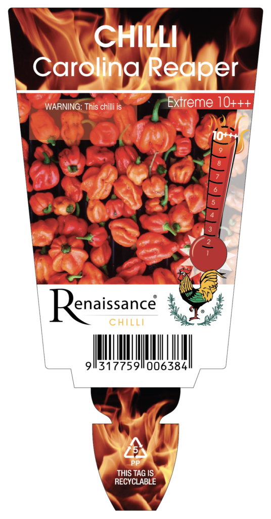 Chilli Carolina Reaper – Renaissance Herbs