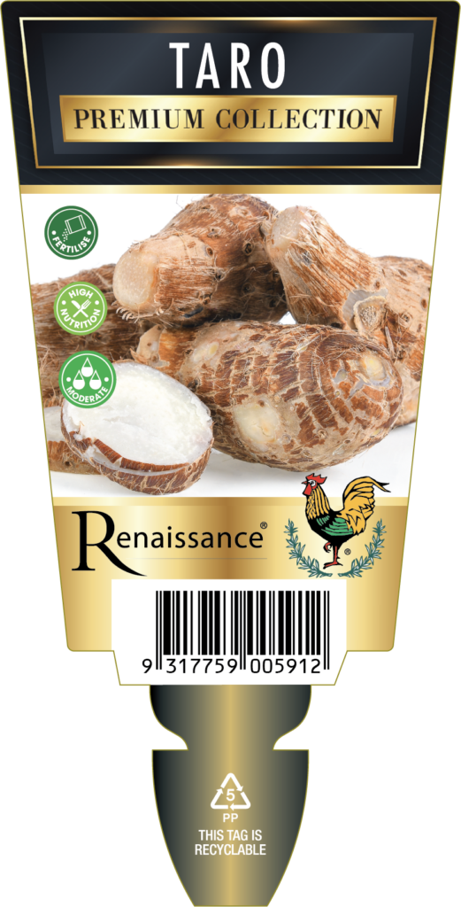 Taro Bun-long – Renaissance Herbs