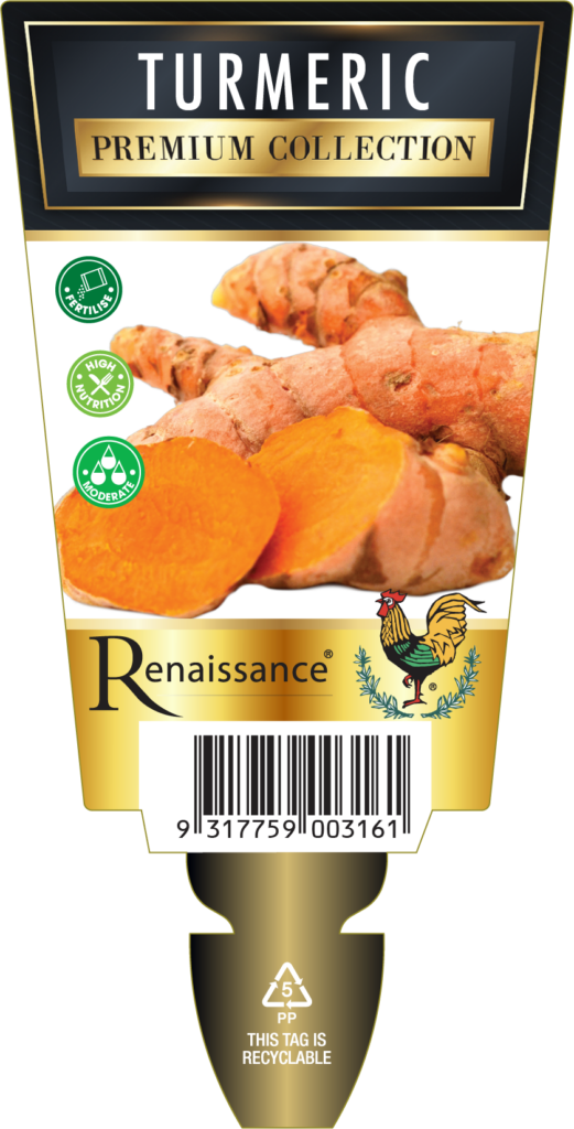 Turmeric – Renaissance Herbs