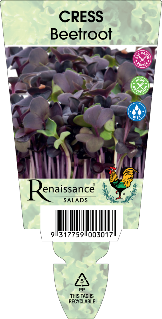 Beetroot Cress – Renaissance Herbs