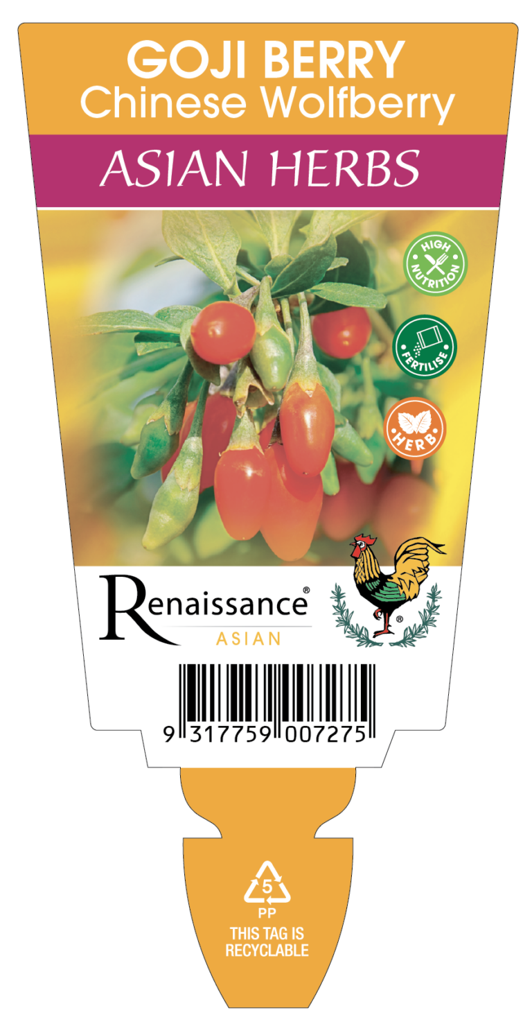 Goji Berry Chinese Wolfberry – Renaissance Herbs