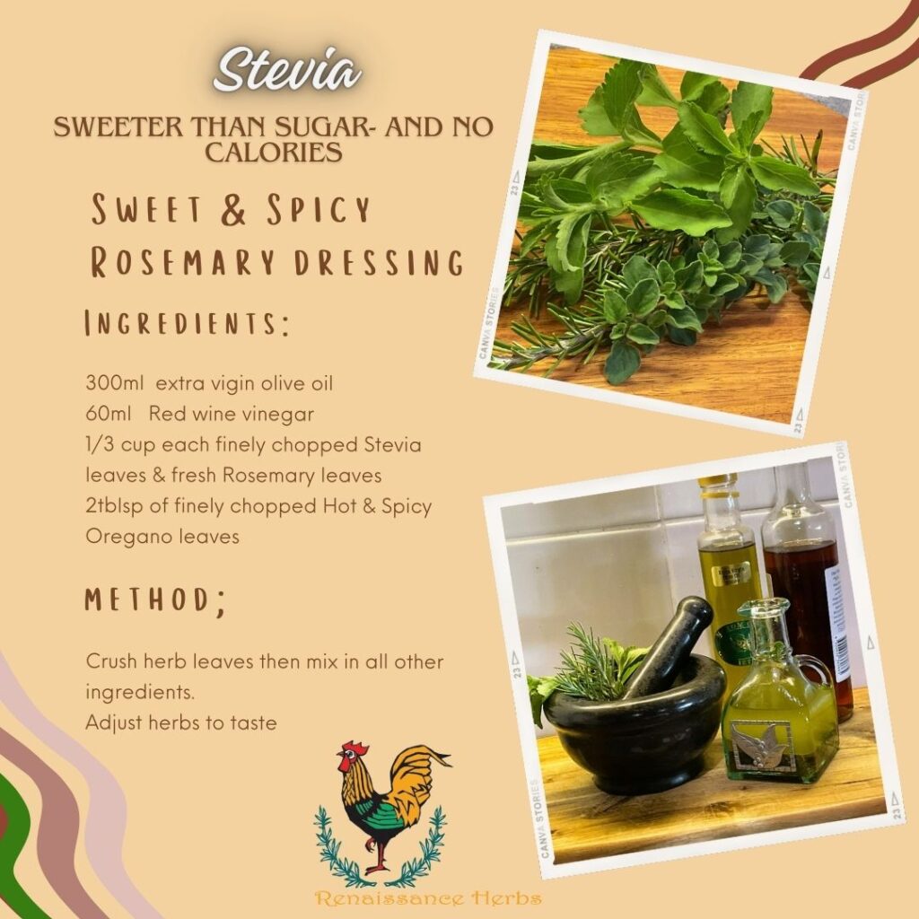 Stevia – Sweeter than Sugar – and no calories – Renaissance Herbs